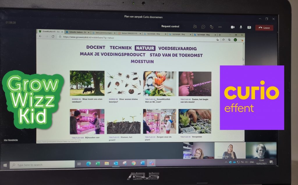 Curio effent aftrap implementatietraject - GrowWizzKid